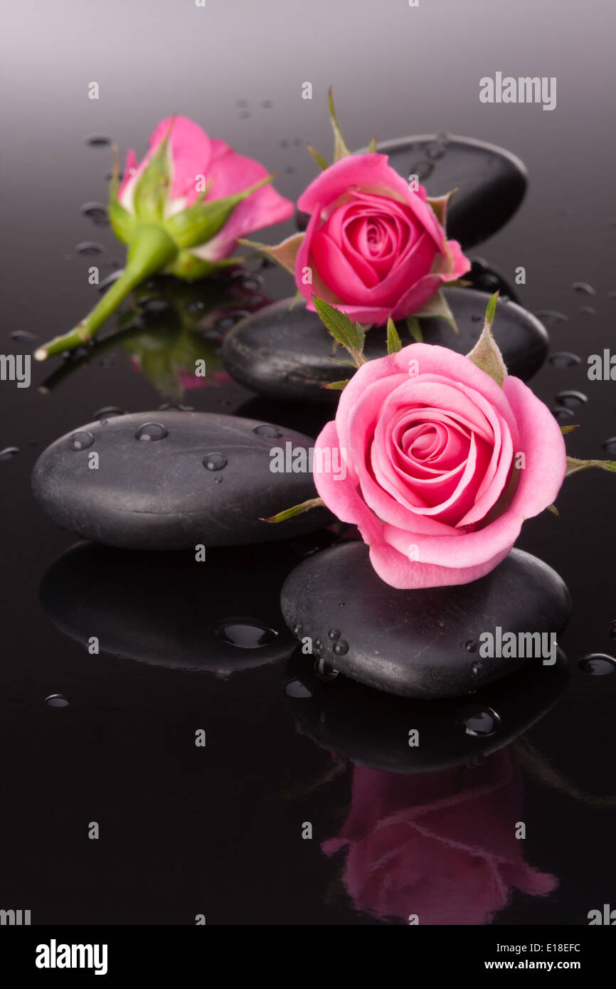 Spa stone rose flowers still hi-res stock photography and images - Alamy