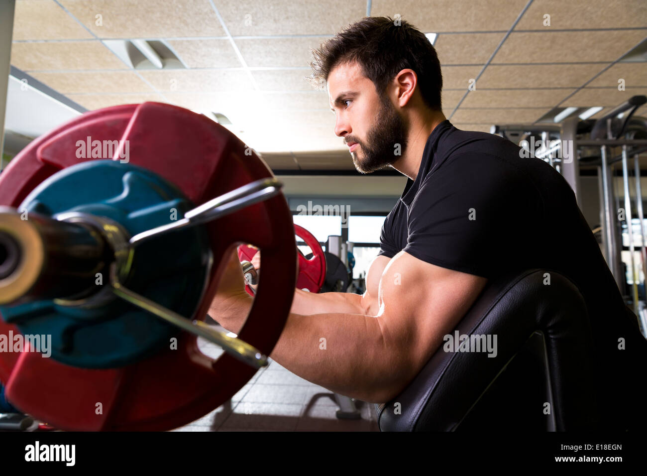 biceps preacher bench arm curl workout man at fitness gym Stock Photo ...