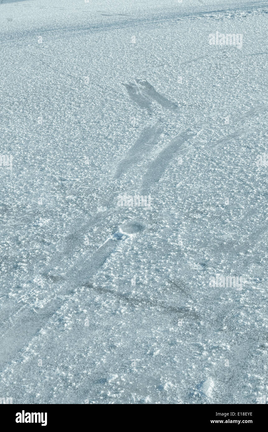 Covered outdoor ice rink hi-res stock photography and images - Alamy