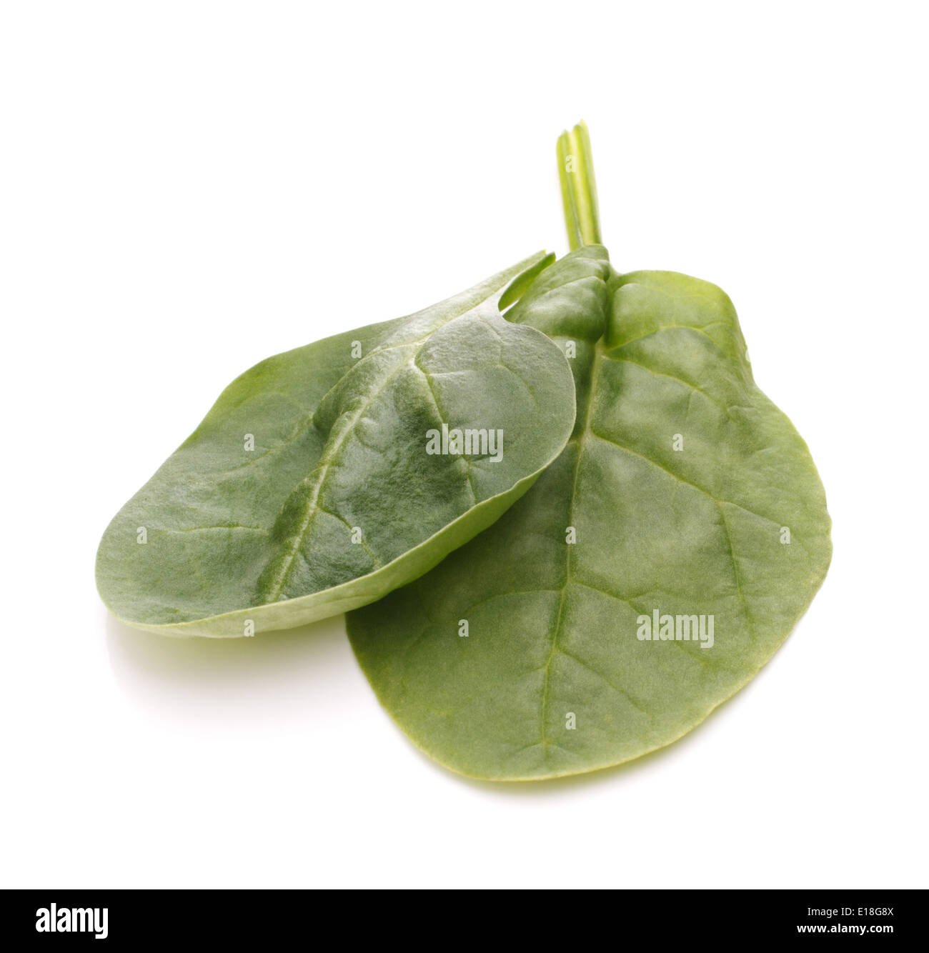 Spinach vegetables isolated on white background cutout Stock Photo - Alamy