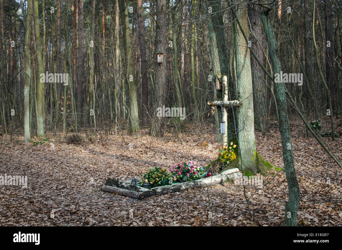 Tomb of the Unknown Person in forest Stock Photo - Alamy