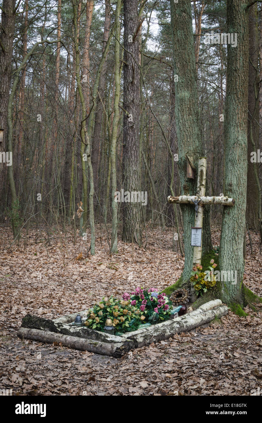 Tomb of the Unknown Person in forest Stock Photo - Alamy