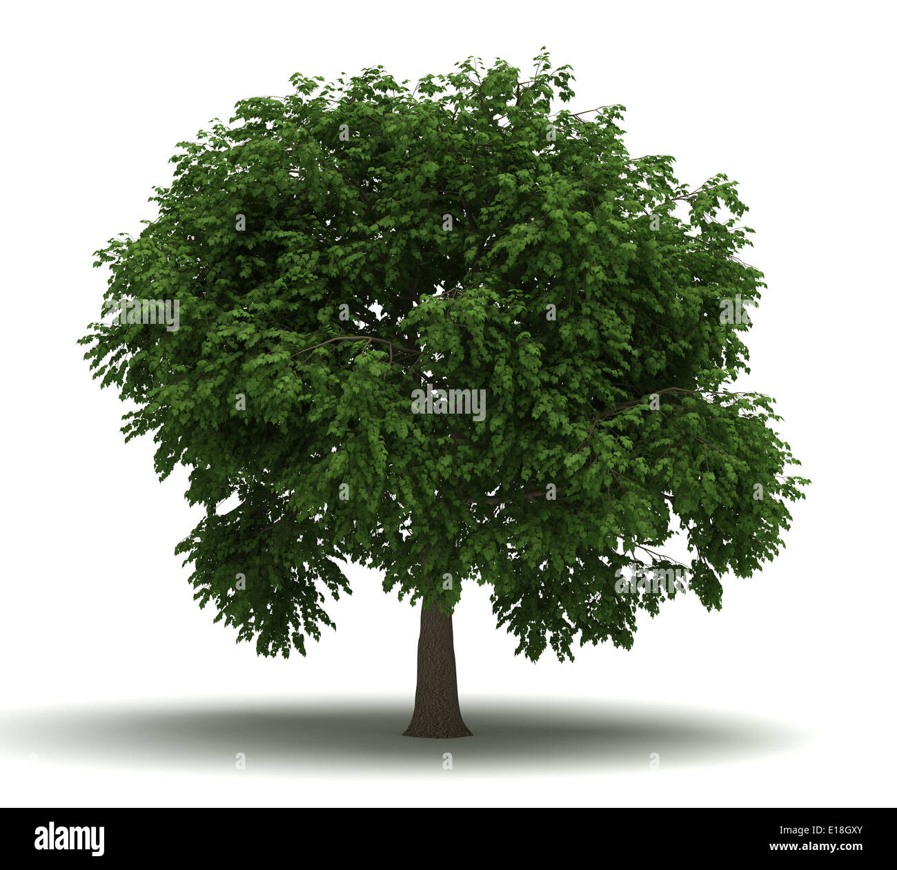 Green landscape vertical view Cut Out Stock Images & Pictures - Alamy