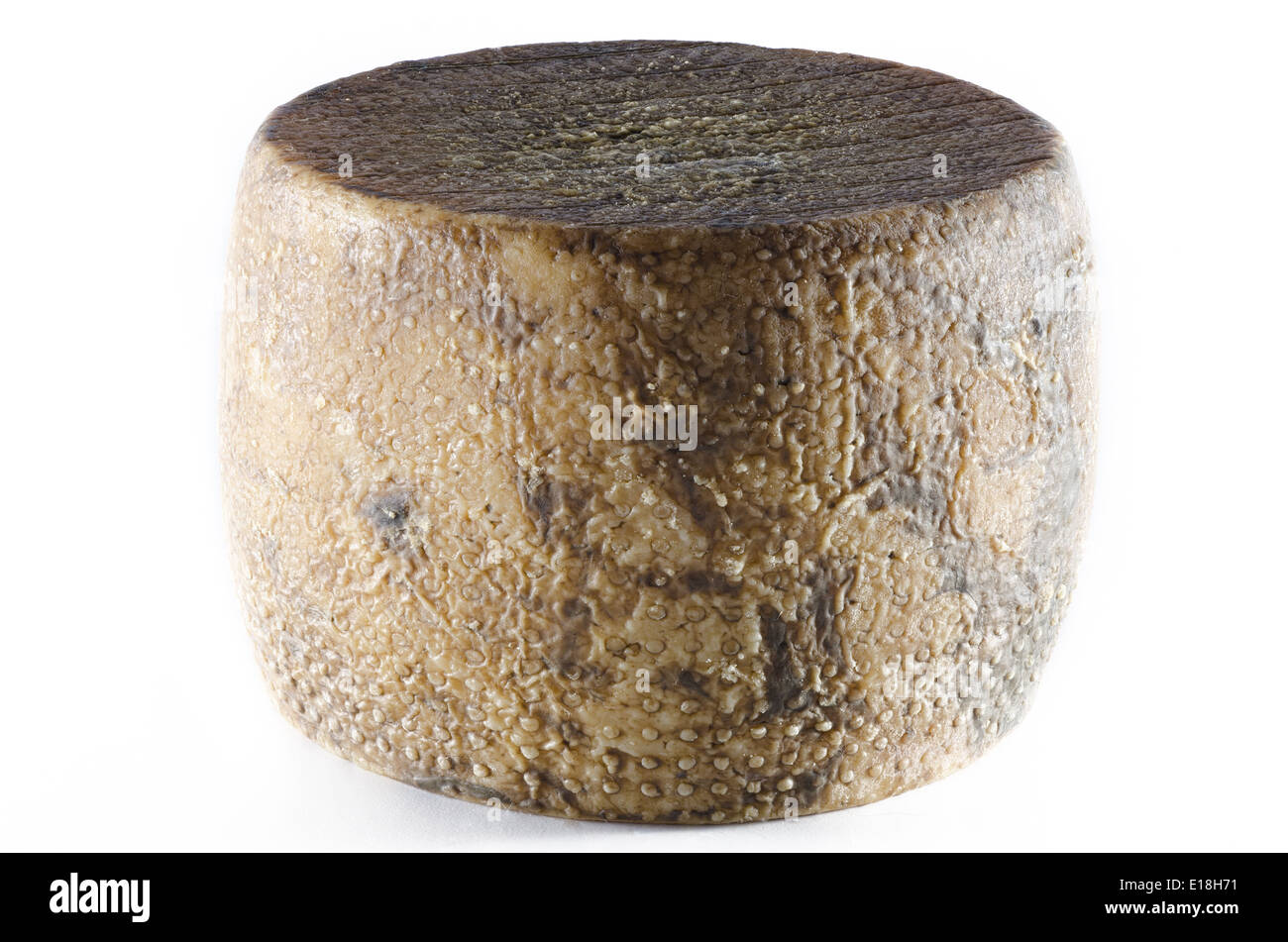 italian sheep cheese wheel Stock Photo - Alamy