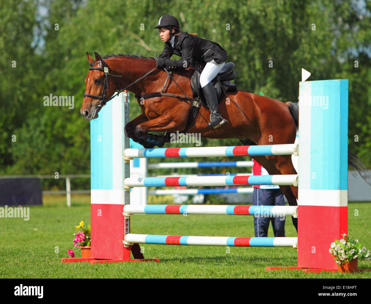 Show jumping rider clears the obstacle during an equestrian event Stock ...