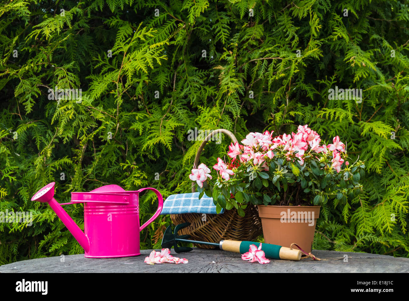 Spring tools hi-res stock photography and images - Alamy