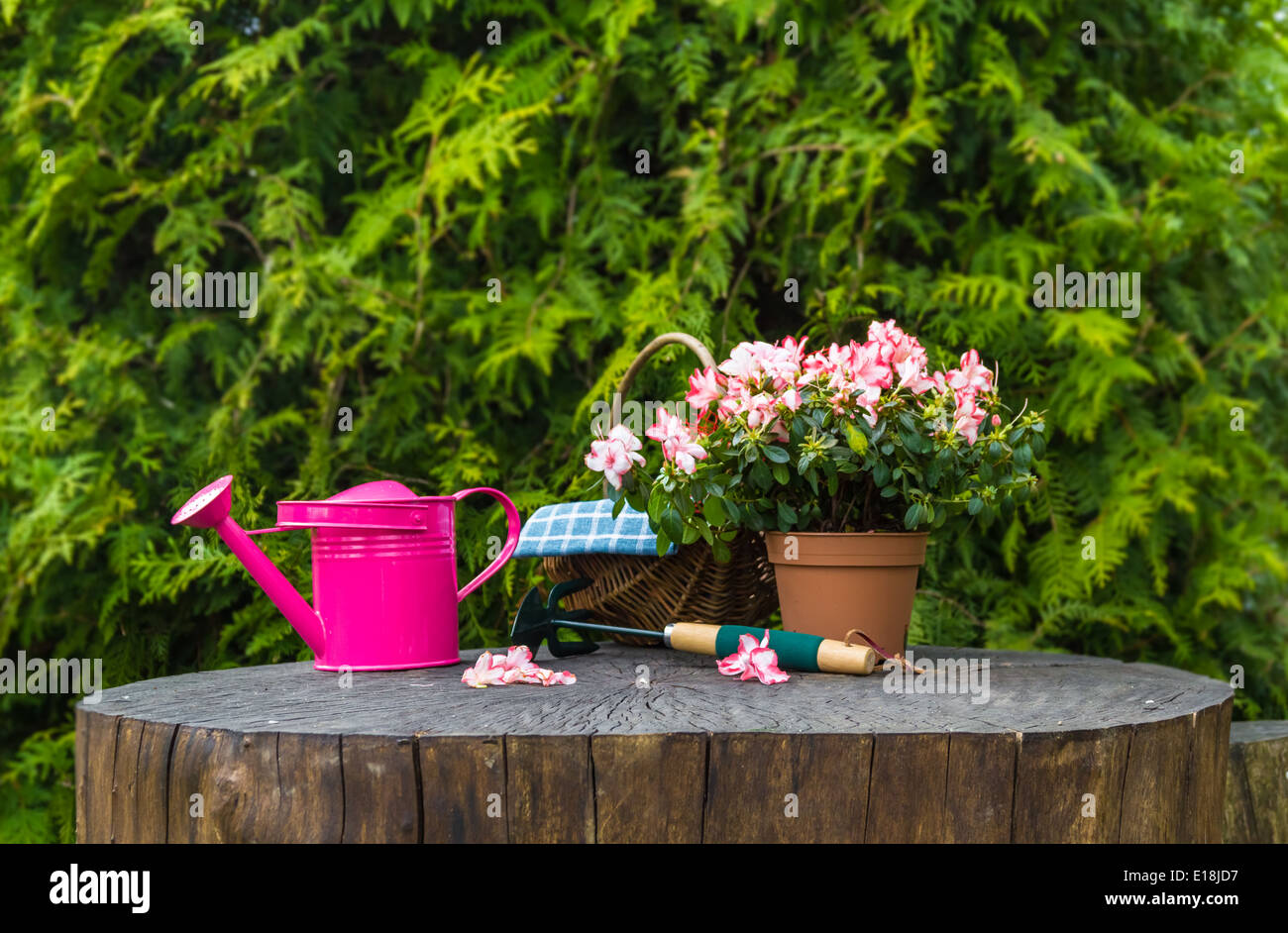 Spring tools hi-res stock photography and images - Alamy
