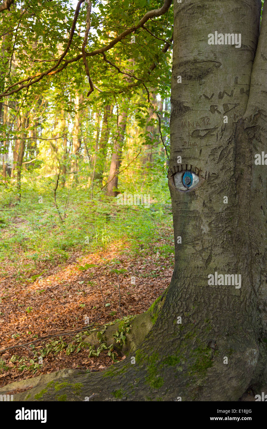 Eye in the tree hi-res stock photography and images - Alamy
