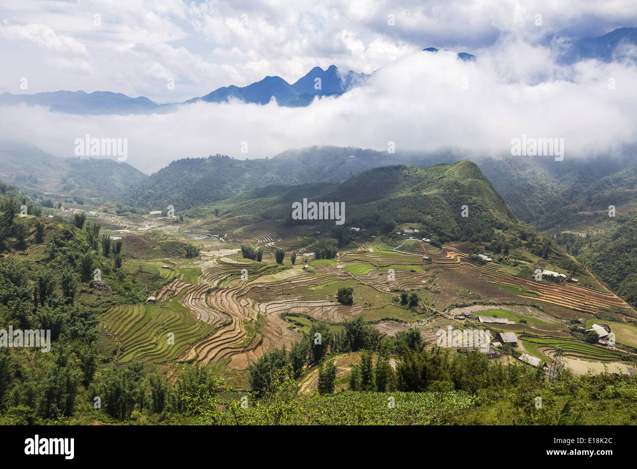 Planting rice terraces in the mountains near Sapa Stock Photo - Alamy