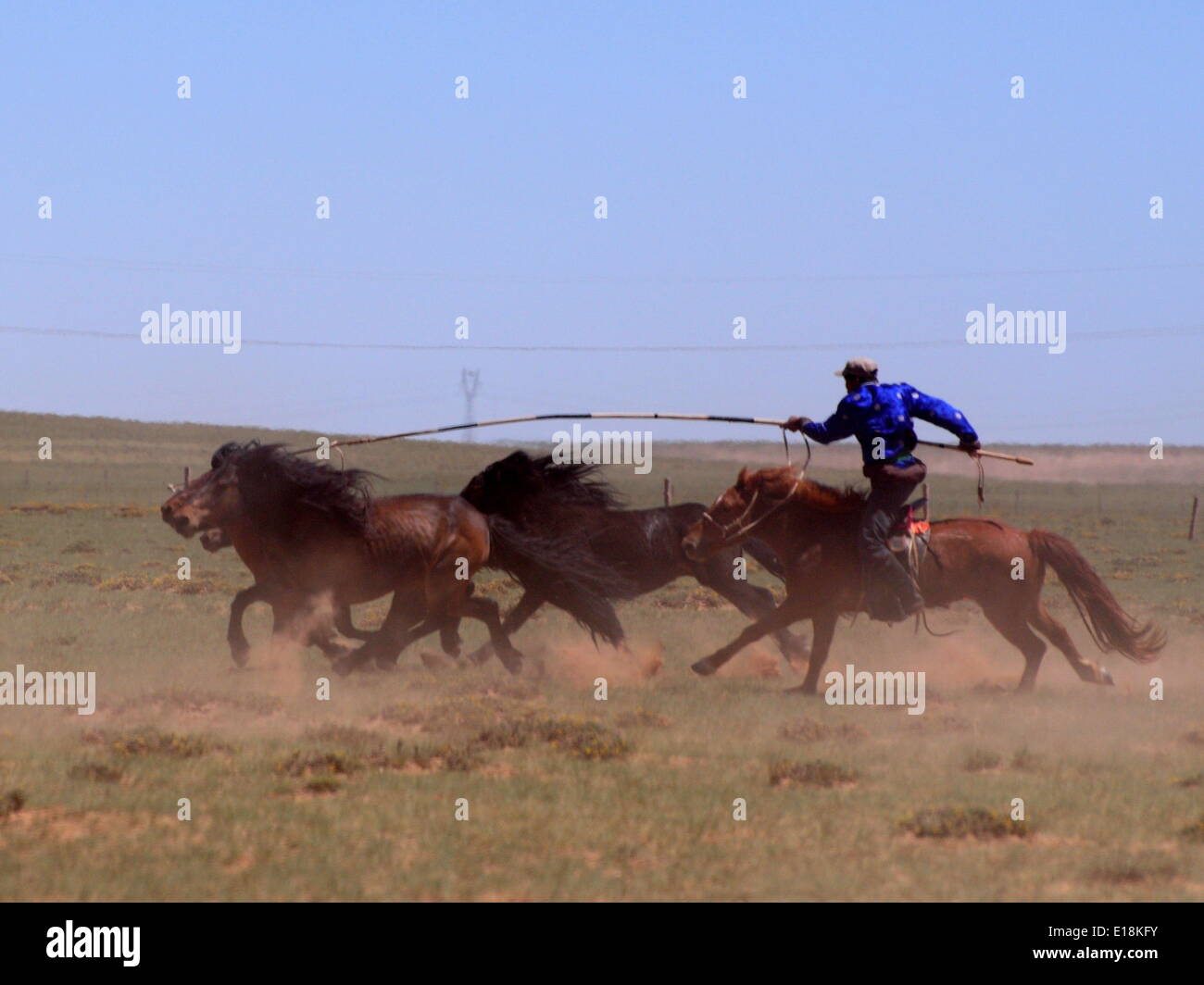 Bayannur, China's Inner Mongolia Autonomous Region. 27th May, 2014. A ...