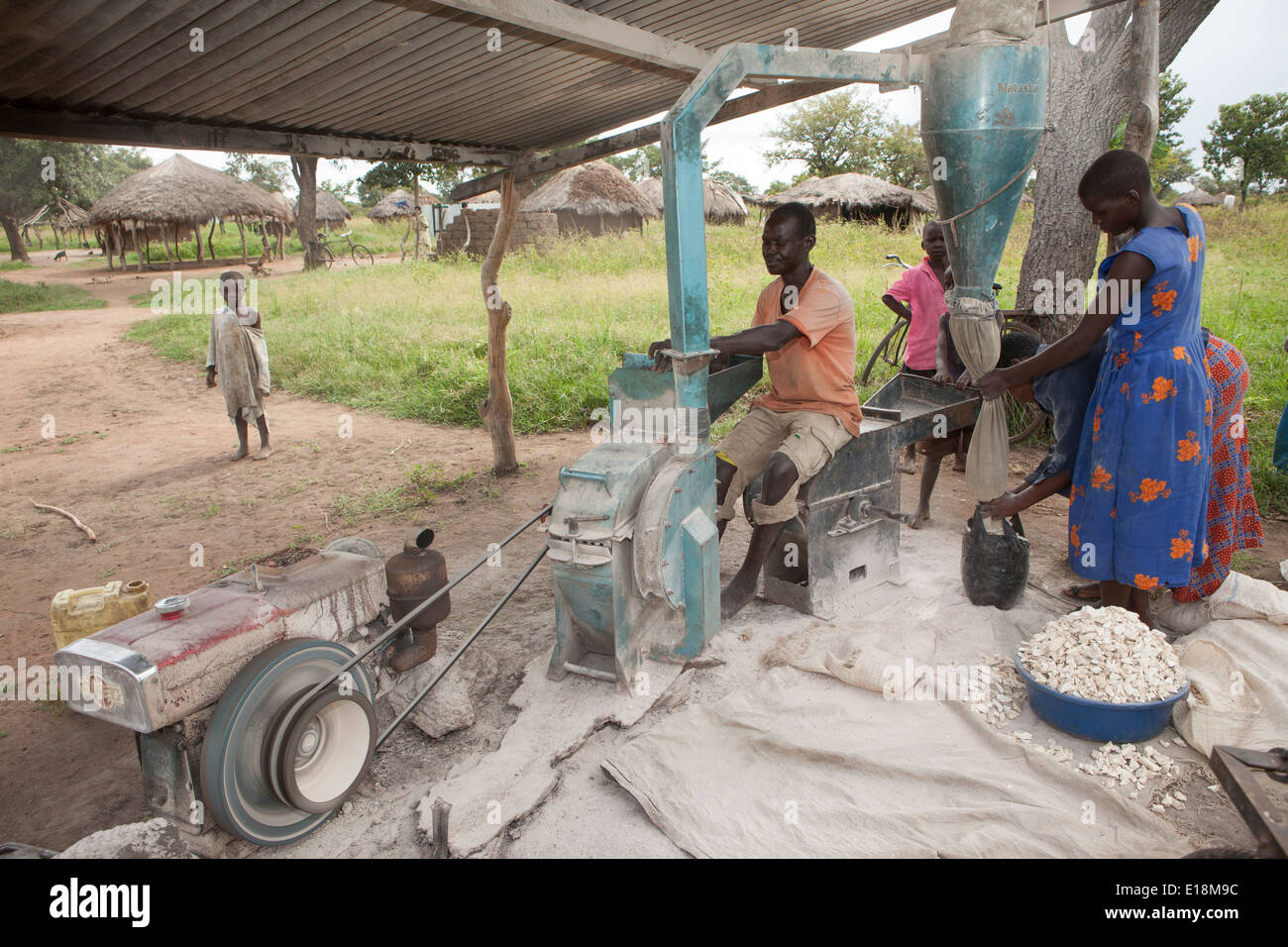 Farmers grinding cassava for flour in Amuria, Uganda Stock Photo - Alamy