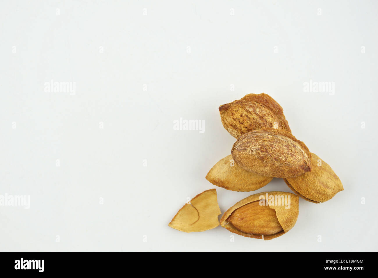 Husk shell hi-res stock photography and images - Alamy