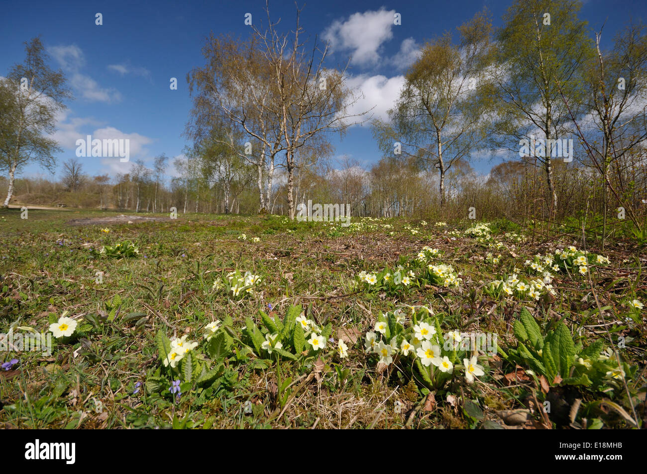 Breakheart hi-res stock photography and images - Alamy