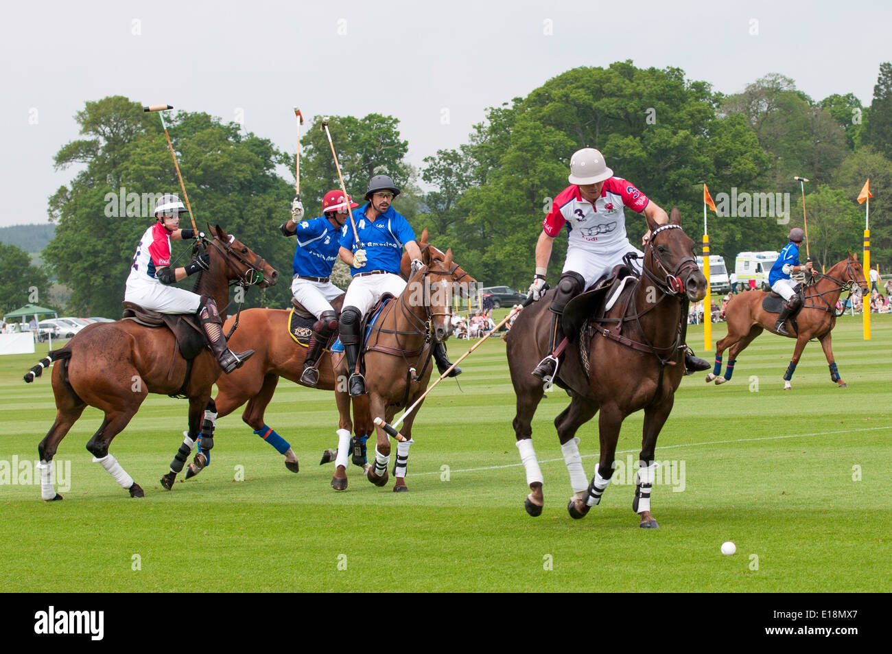 Cowdray Park Polo High Resolution Stock Photography and Images - Alamy