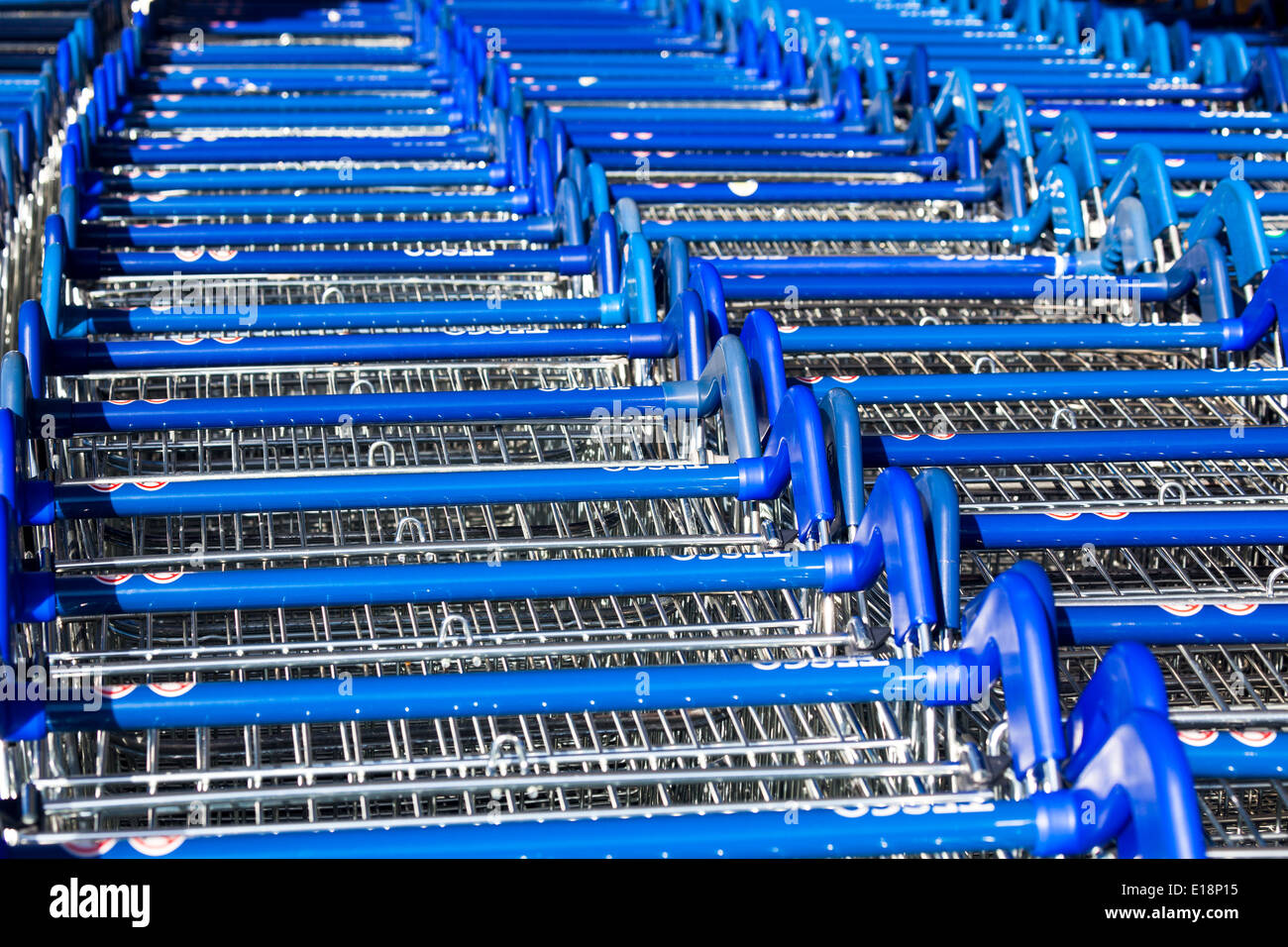 Tesco supermarket trollies food retailer Stock Photo - Alamy