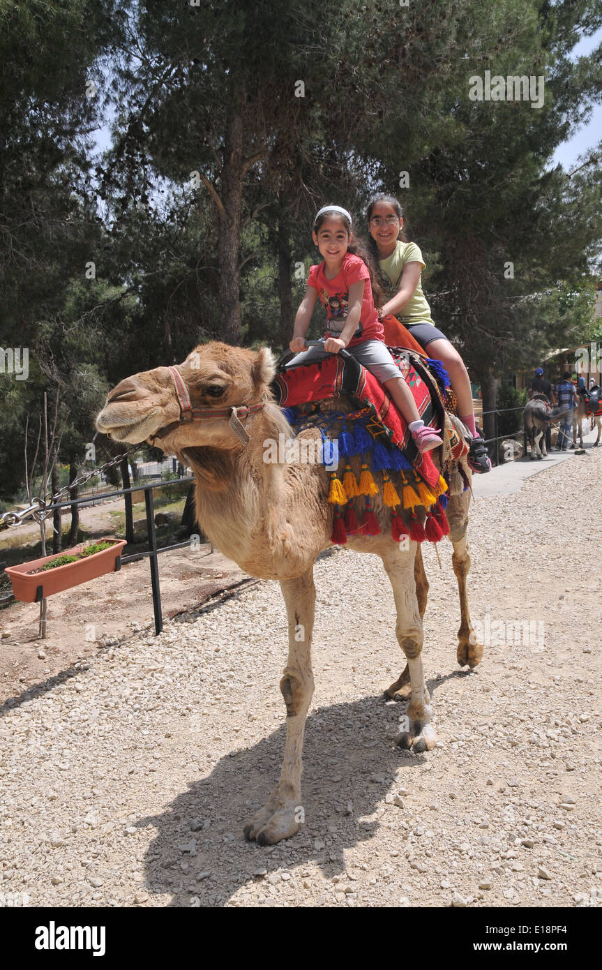 Two girls enjoy a camel ride, Negev, Israel Stock Photo - Alamy