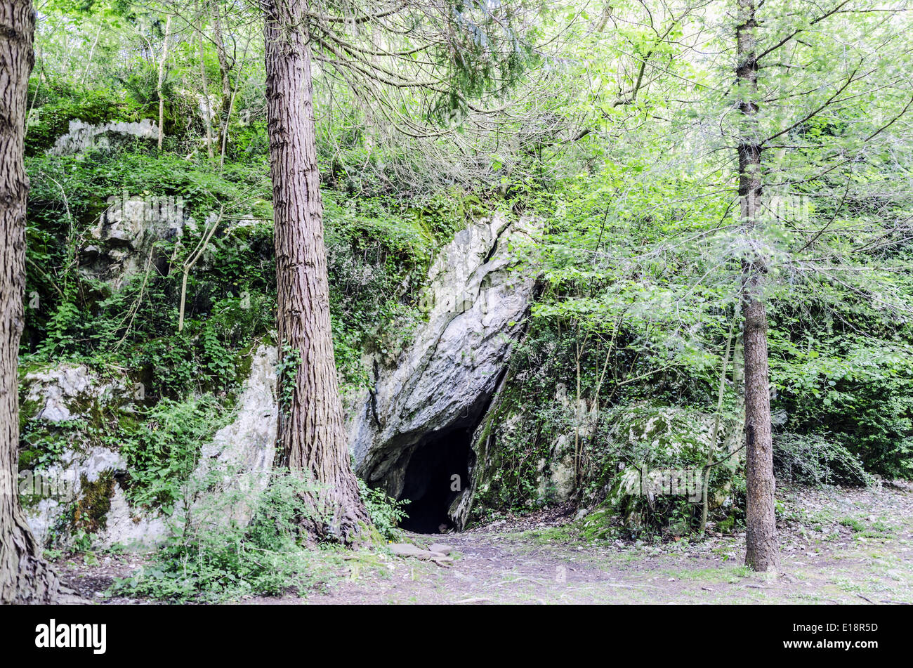Wet cave rocks hi-res stock photography and images - Alamy