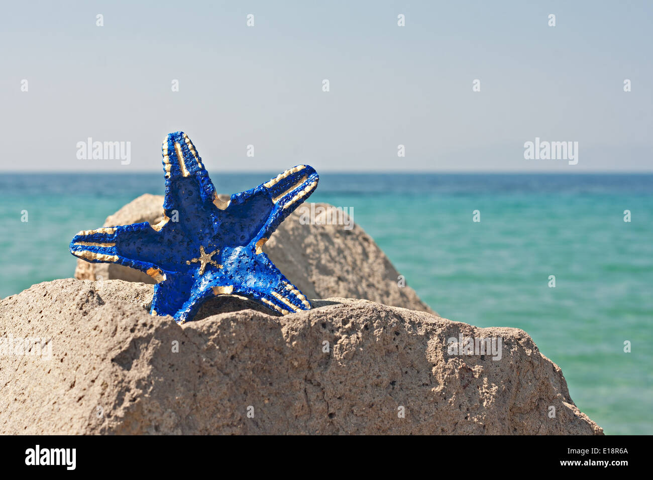 Blue starfish hi-res stock photography and images - Alamy