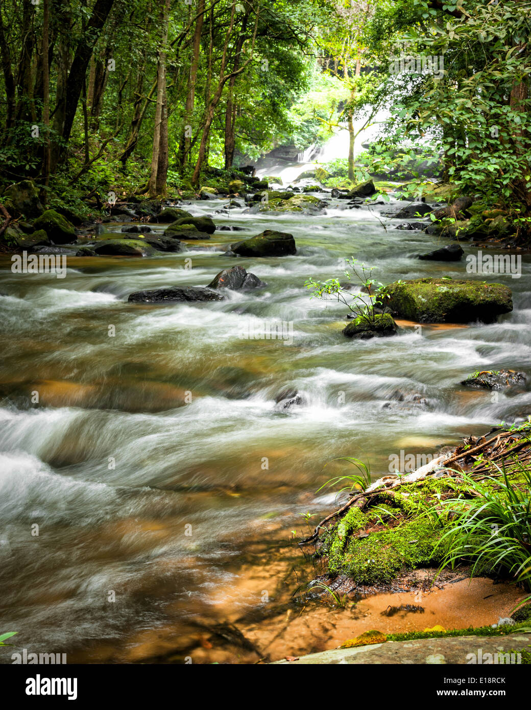Tropical rainforest landscape with flowing river, rocks and jungle ...