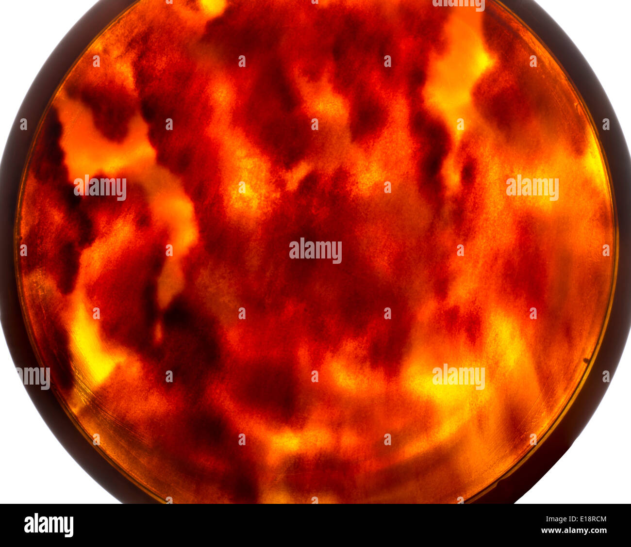 Tortoiseshell product, backlit to show pattern Stock Photo - Alamy