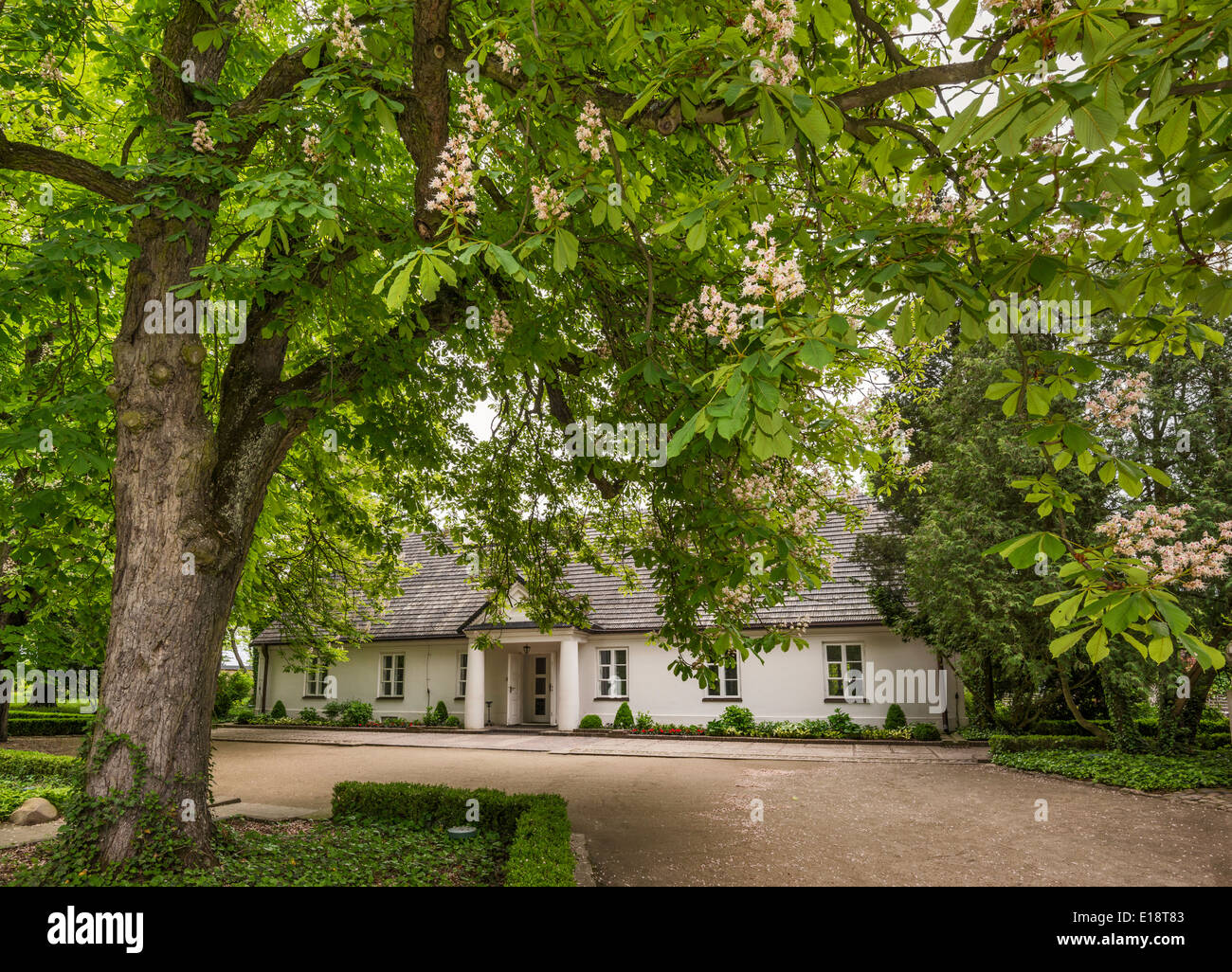 Chestnut Tree House High Resolution Stock Photography and Images - Alamy