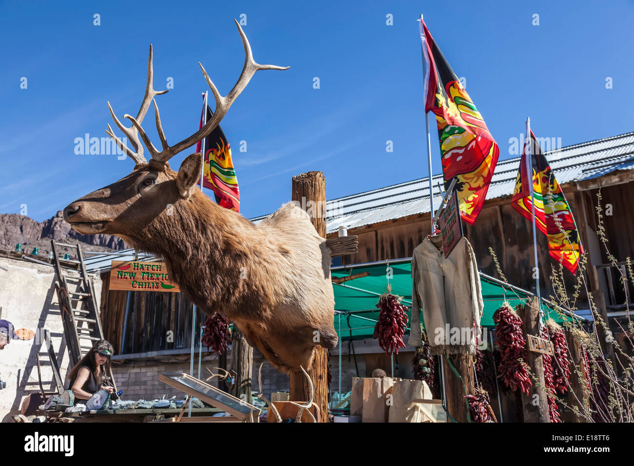 Oatman; Arizona;USA;America; Ghost Town with Donkeys and Burros and ...