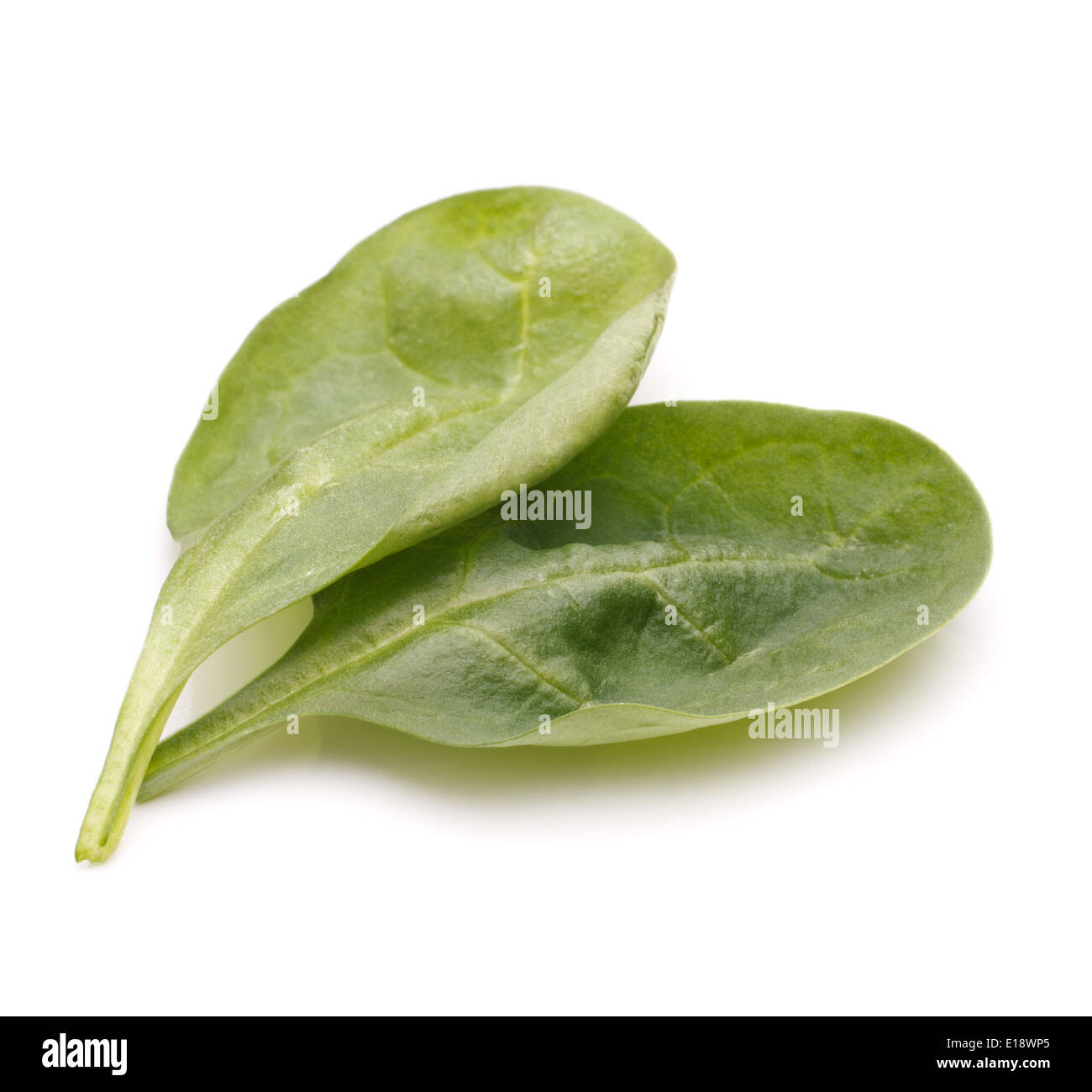 Spinach vegetables isolated on white background cutout Stock Photo - Alamy