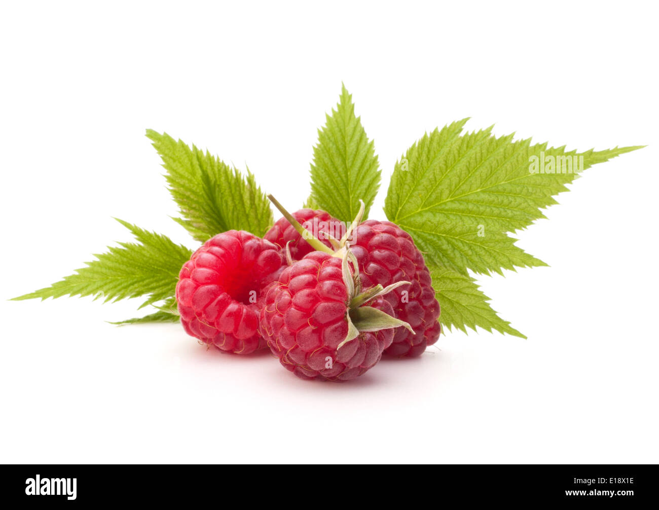 Sweet raspberry isolated on white background cutout Stock Photo - Alamy
