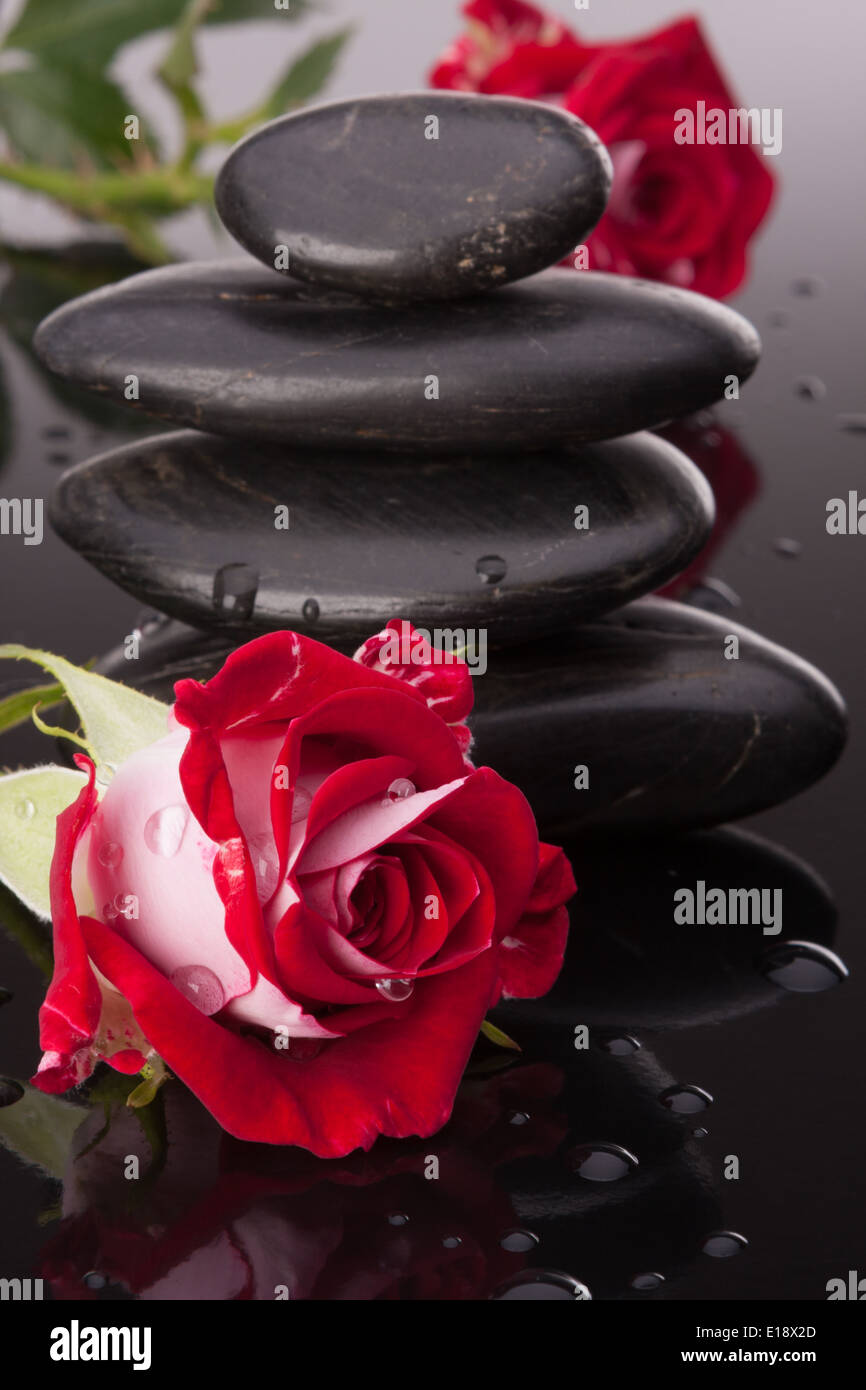 Spa stone rose flowers still hi-res stock photography and images - Alamy