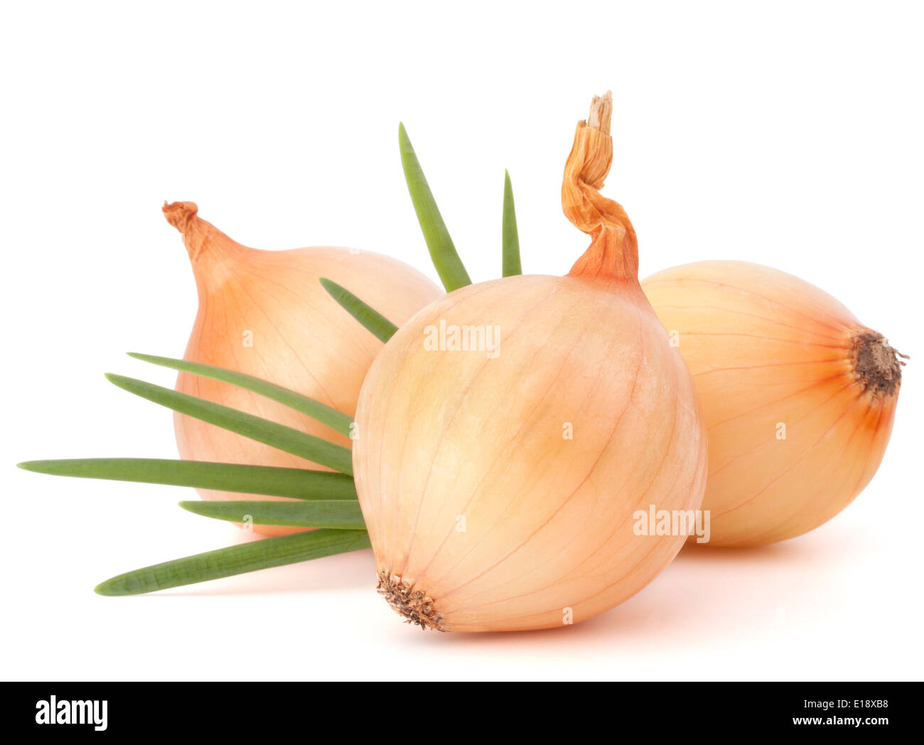 Onion vegetable still life on white background cutout Stock Photo - Alamy
