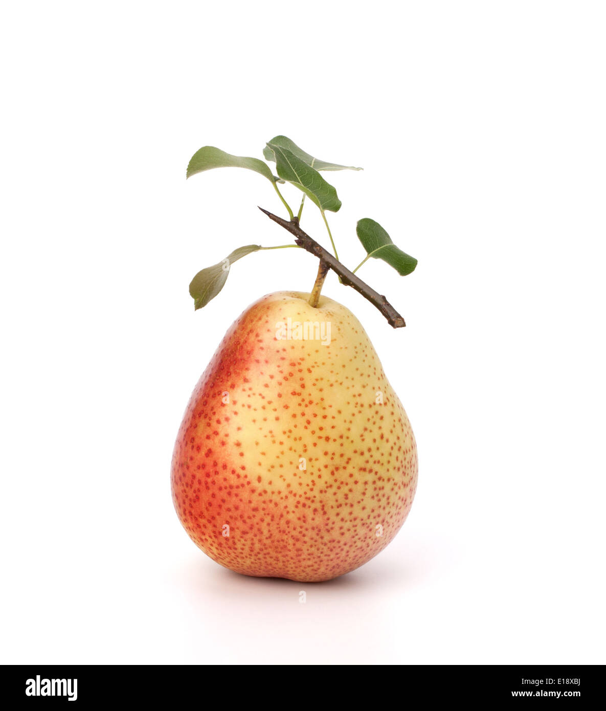 Pear isolated on white background Stock Photo - Alamy