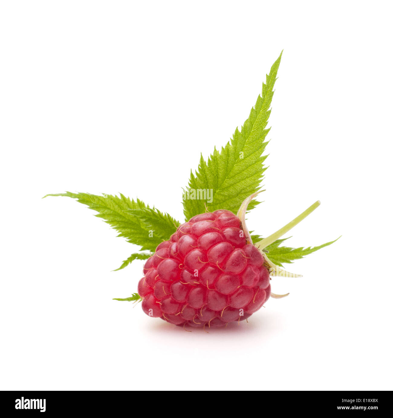 Sweet raspberry isolated on white background cutout Stock Photo - Alamy