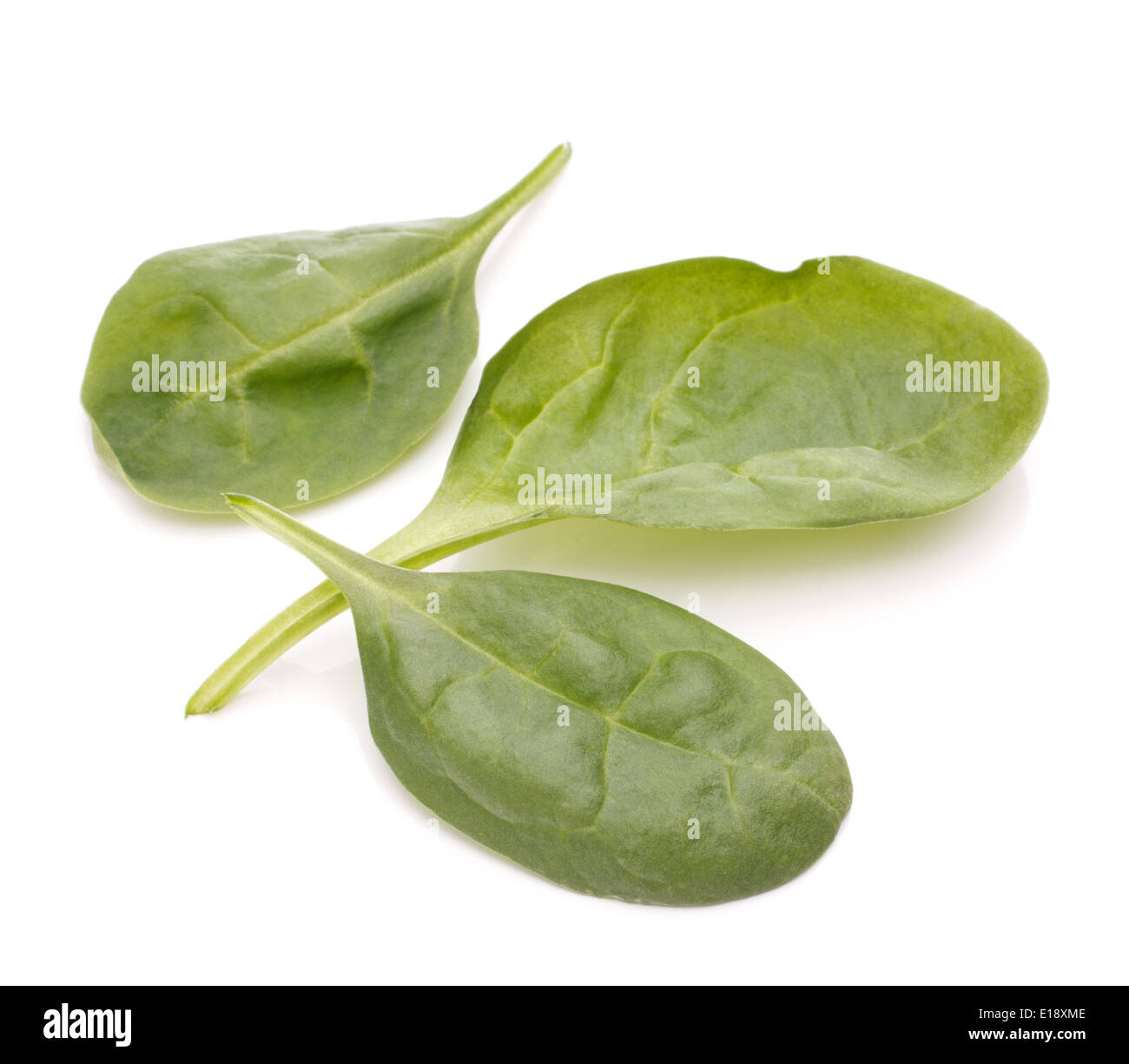 Spinach vegetables isolated on white background cutout Stock Photo - Alamy