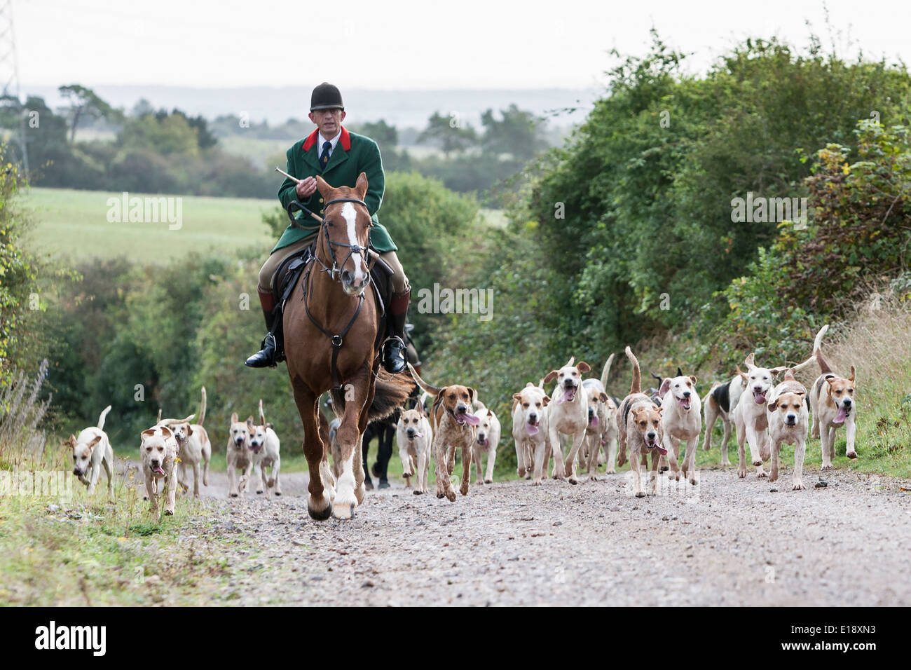 Huntsmen and hounds hi-res stock photography and images - Alamy