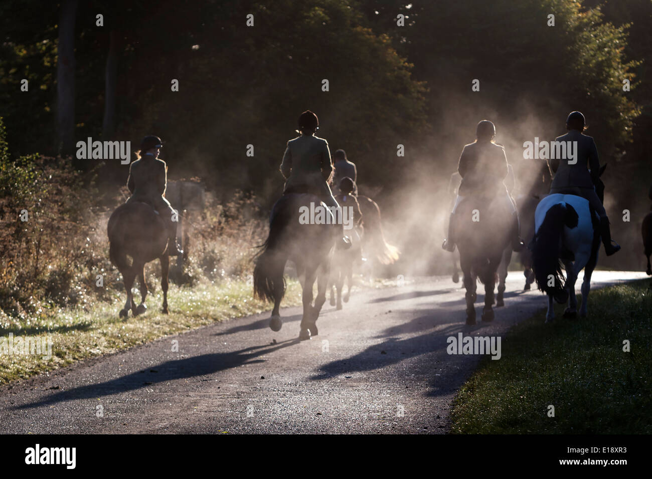 Rising trot hi-res stock photography and images - Alamy