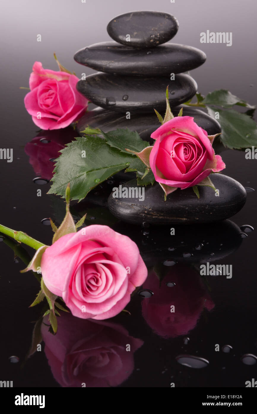 Spa stone rose flowers still hi-res stock photography and images - Alamy