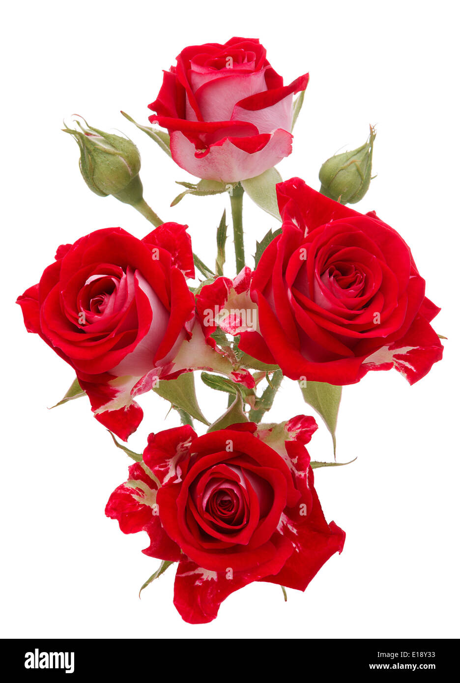 Red rose flower bouquet isolated on white background cutout Stock Photo ...