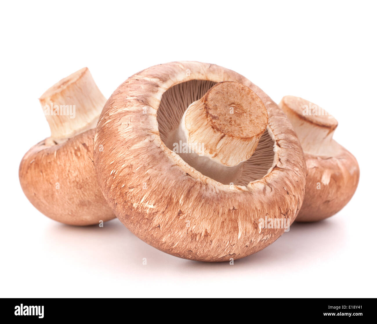 Brown champignon mushroom isolated on white background cutout Stock ...