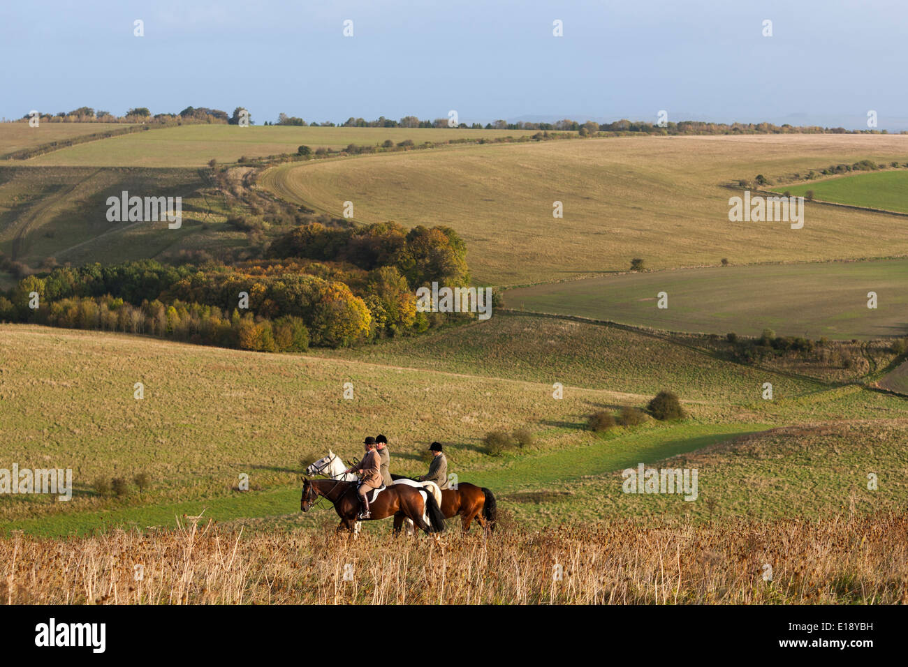 Horse riders in field Stock Photo - Alamy