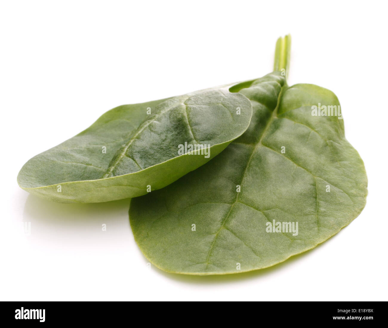 Spinach vegetables isolated on white background cutout Stock Photo - Alamy