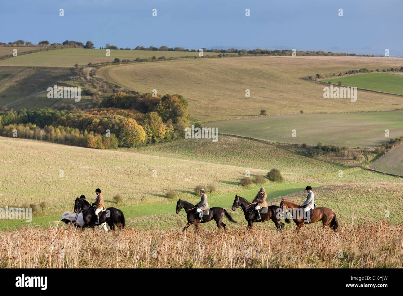 Horse riders in field Stock Photo - Alamy