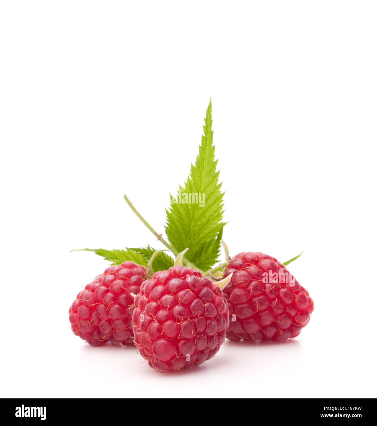 Raspberry cutout hi-res stock photography and images - Alamy