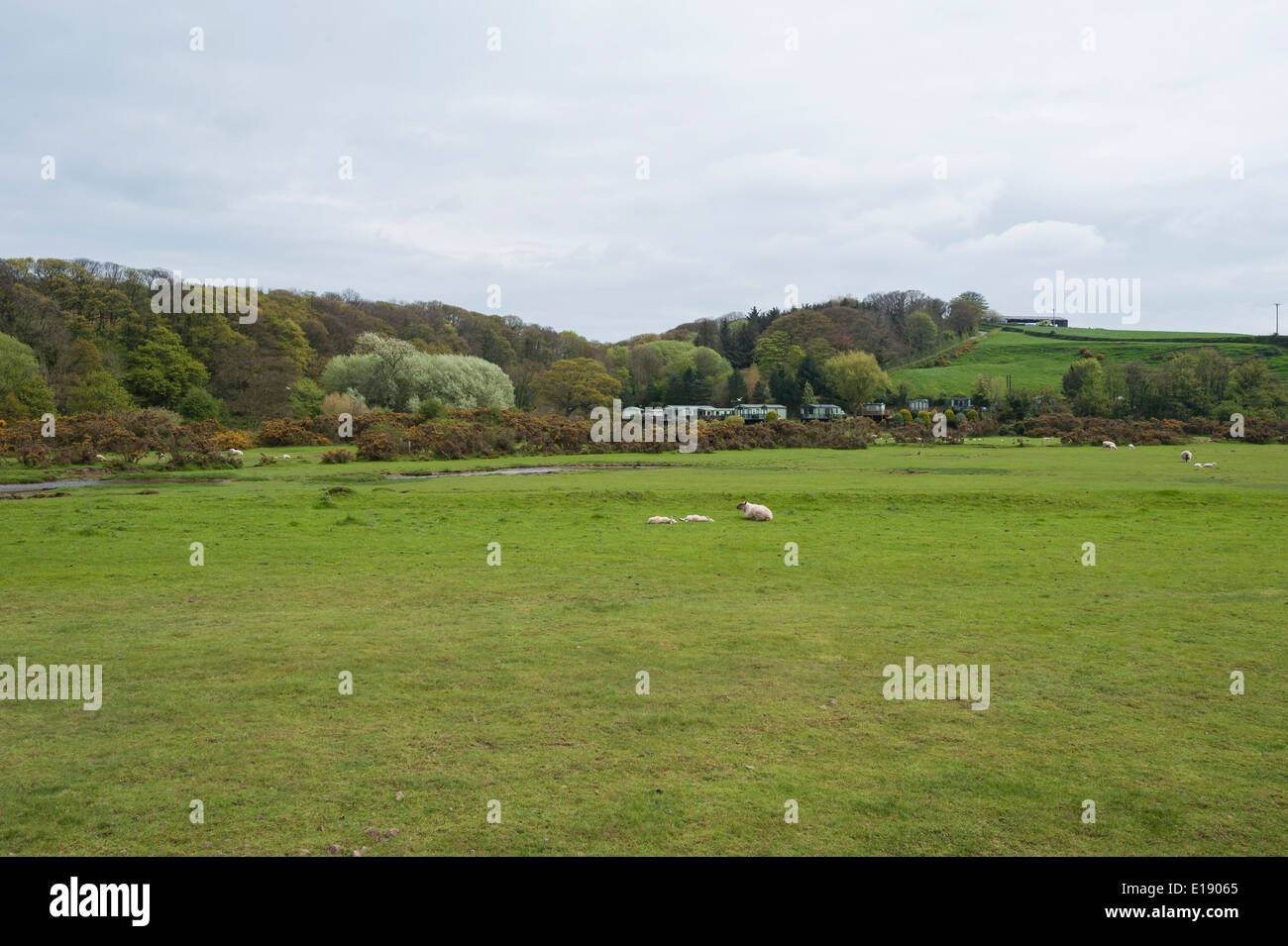 View over english countryside rural scene with sheep in fields on ...