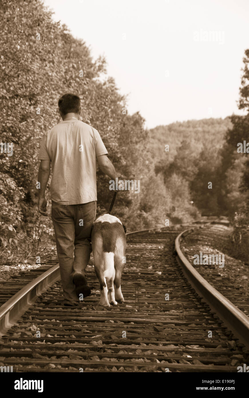 Outdoors sonya messier hi-res stock photography and images - Alamy