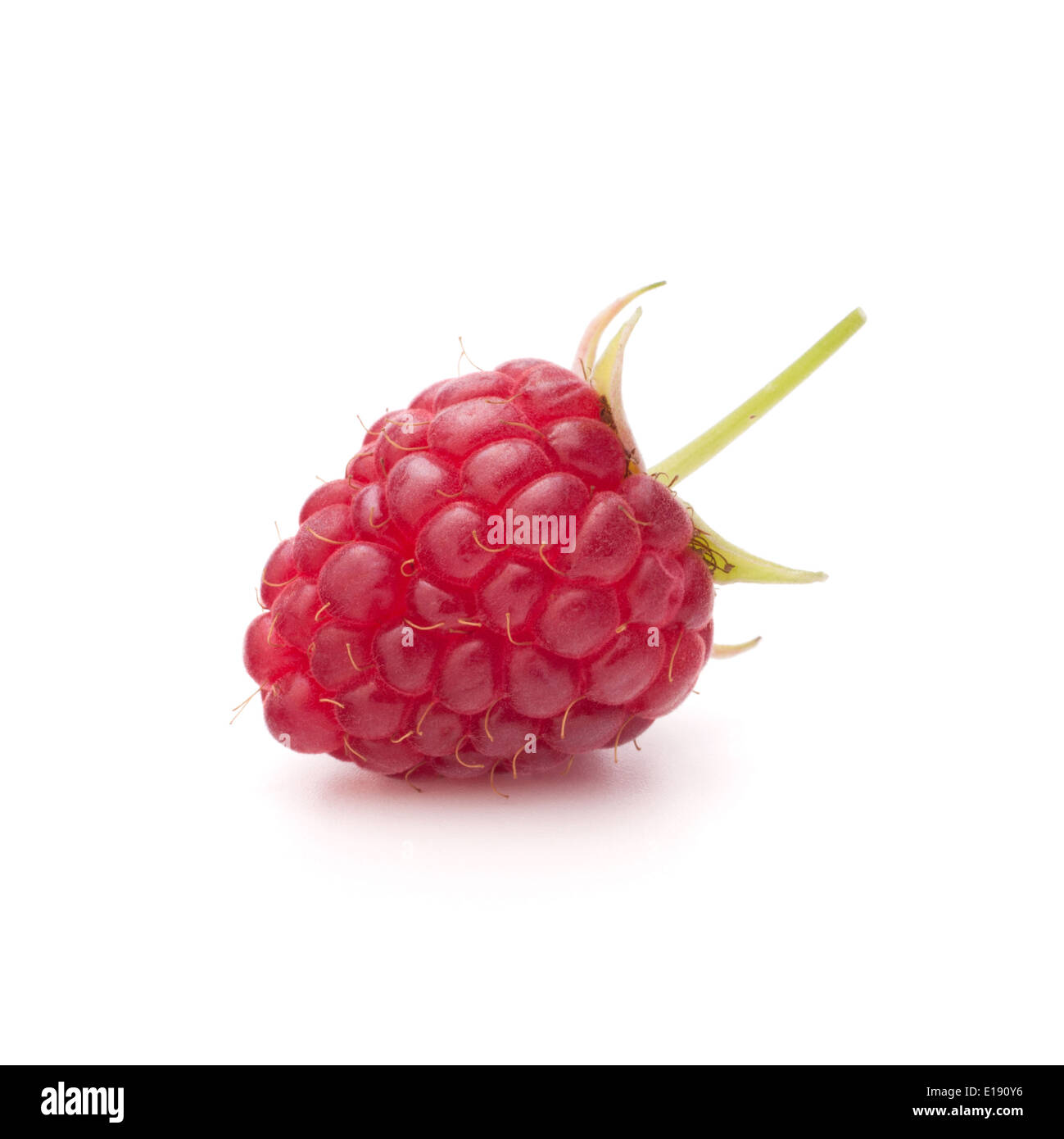 Sweet raspberry isolated on white background cutout Stock Photo - Alamy