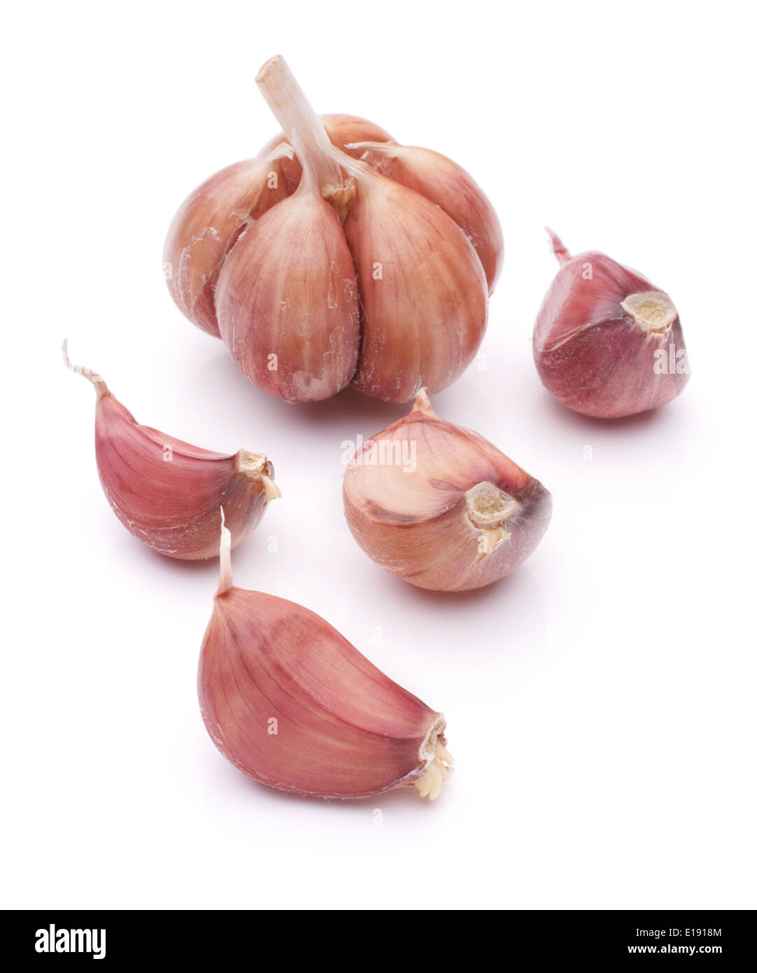 Garlic bulb isolated on white background cutout Stock Photo - Alamy