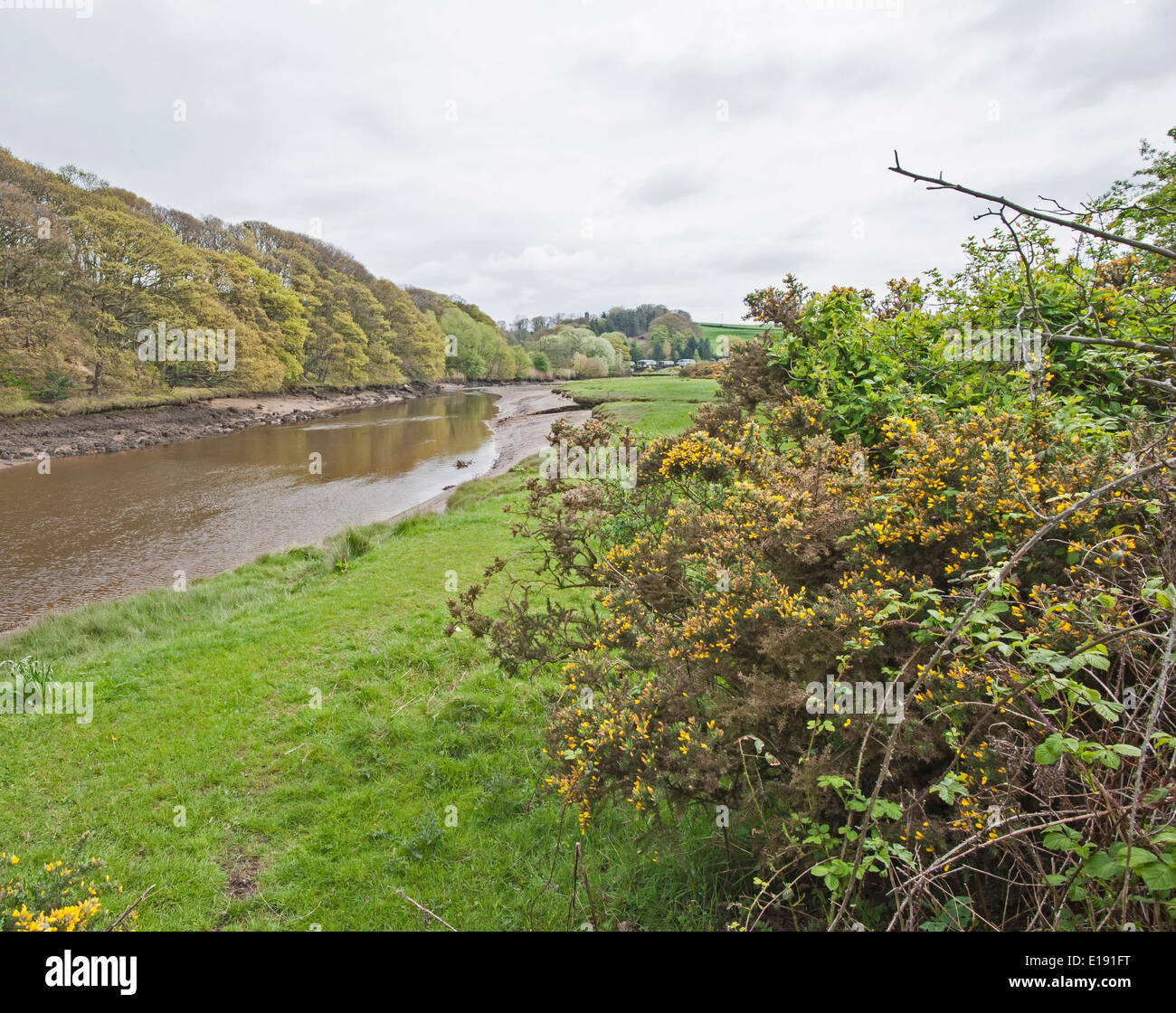 English countryside river scene hi-res stock photography and images - Alamy