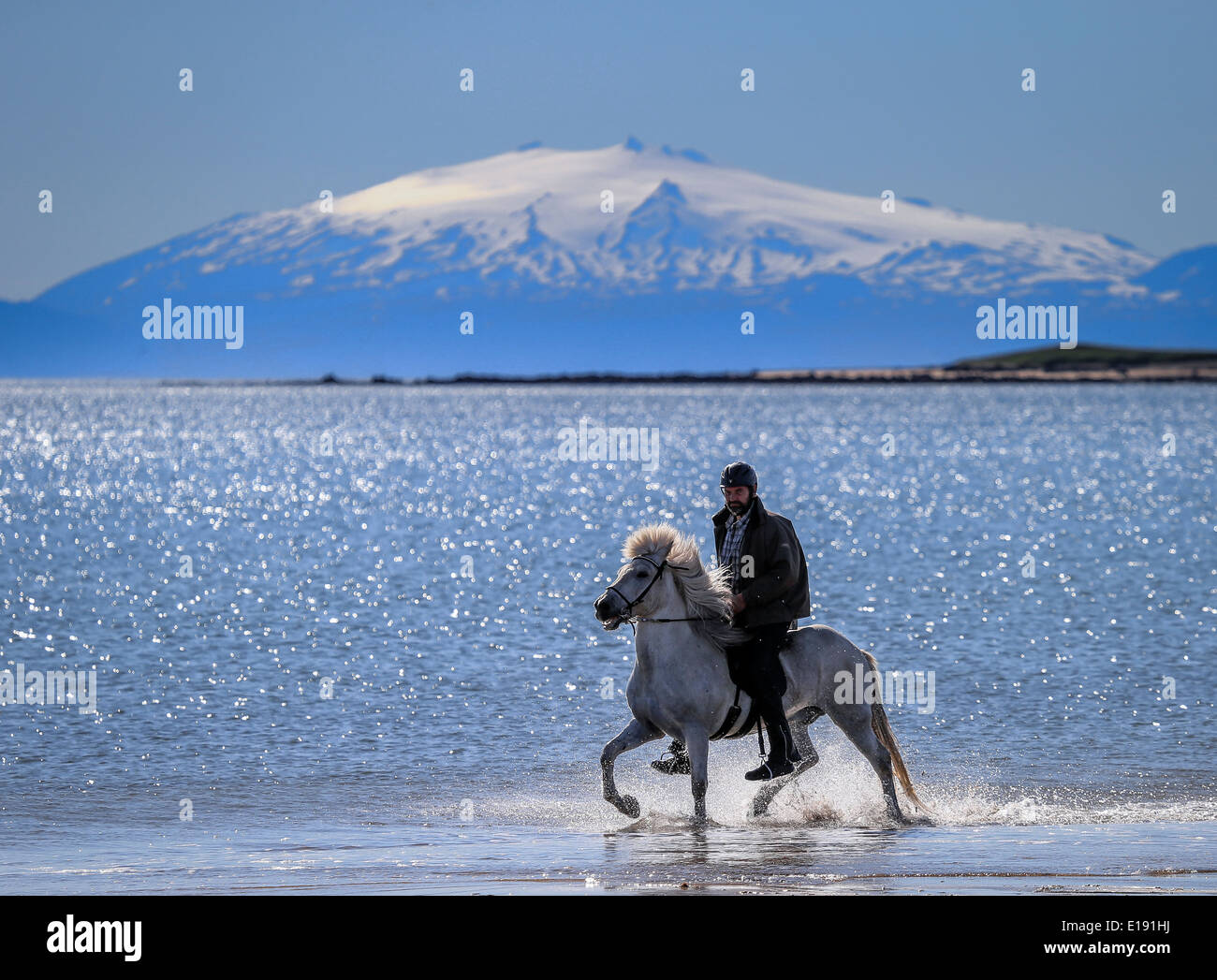 Riding horse water white hi-res stock photography and images - Alamy
