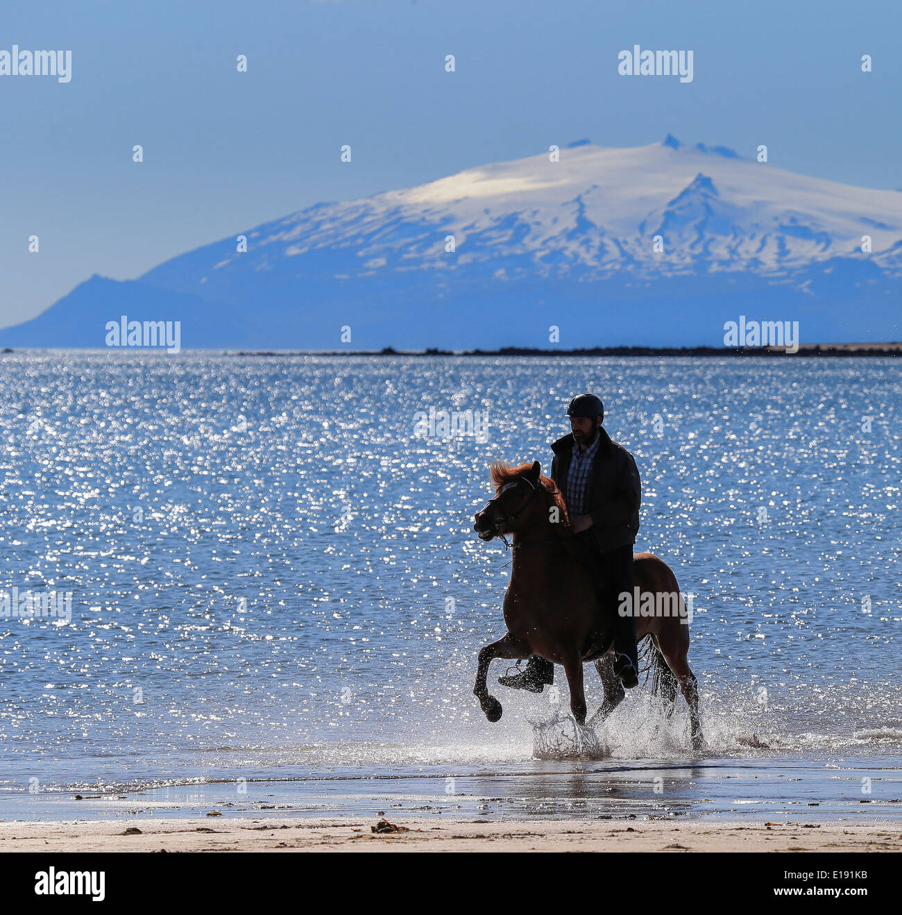 Horseback riding at Longufjorur beach, Iceland Stock Photo - Alamy