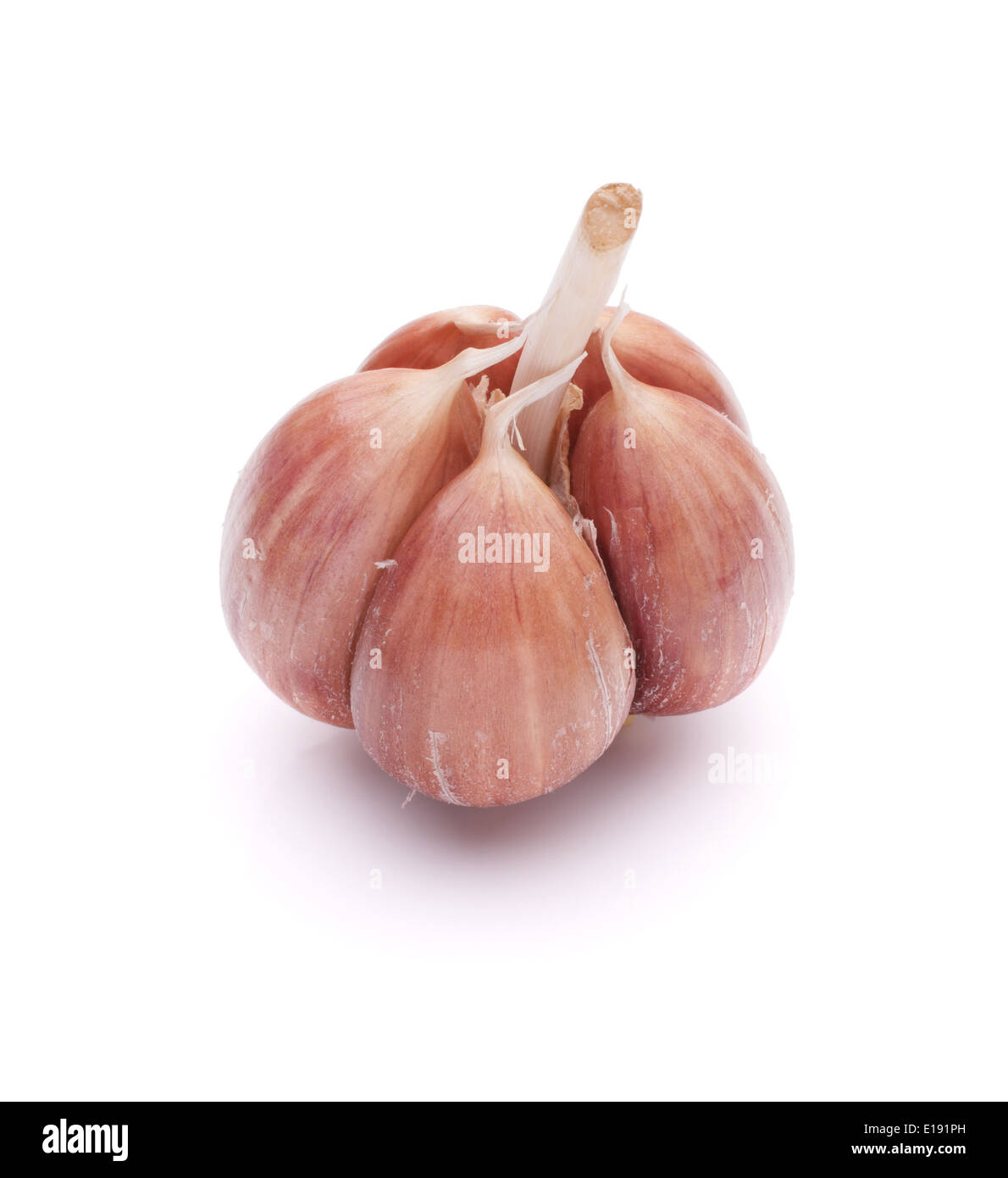 Garlic bulb isolated on white background cutout Stock Photo - Alamy